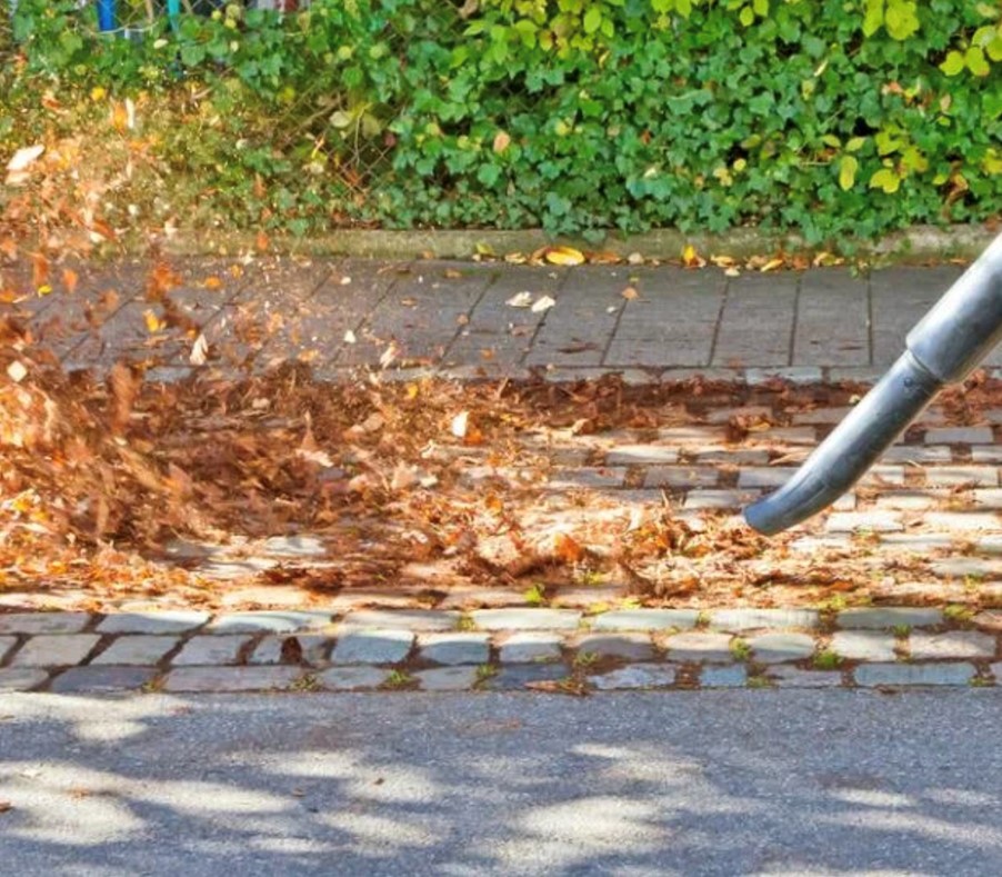Leaf Clearance & Gully Sweeping | Norfolk & Suffolk